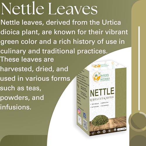 health benefits of nettle tea