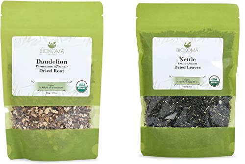 health benefits of nettle tea
