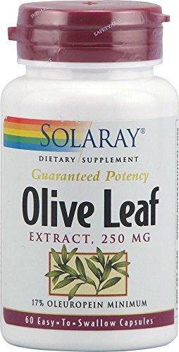 health benefits of olive leaf capsules