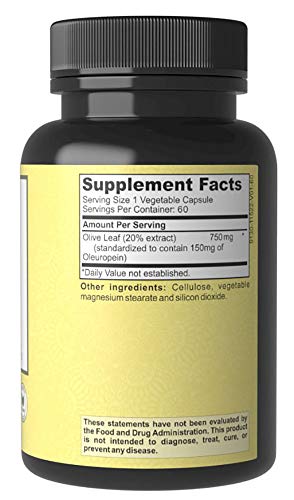 health benefits of olive leaf extract