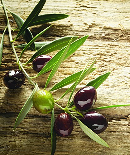 health benefits of olive leaf