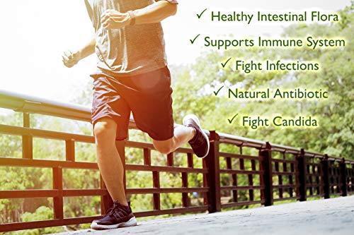 health benefits of oregano oil