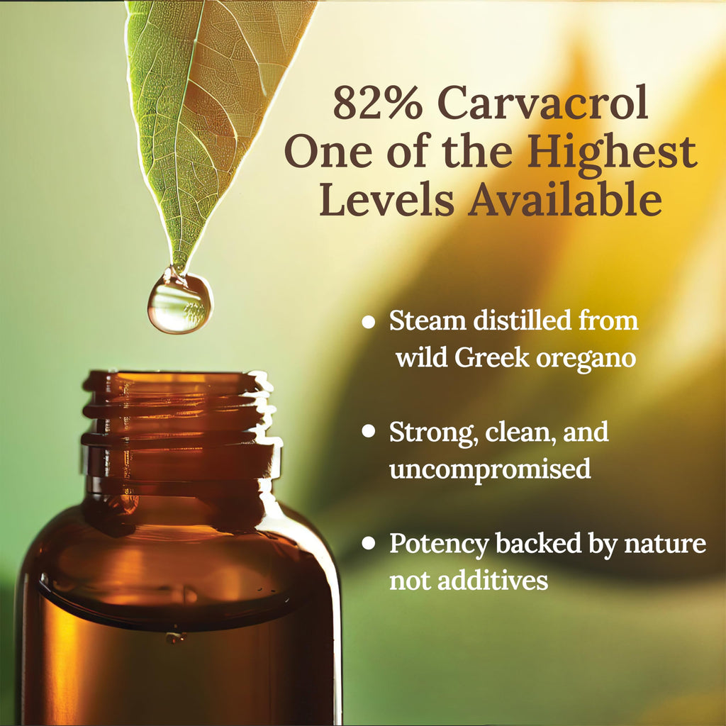 health benefits of oregano oil