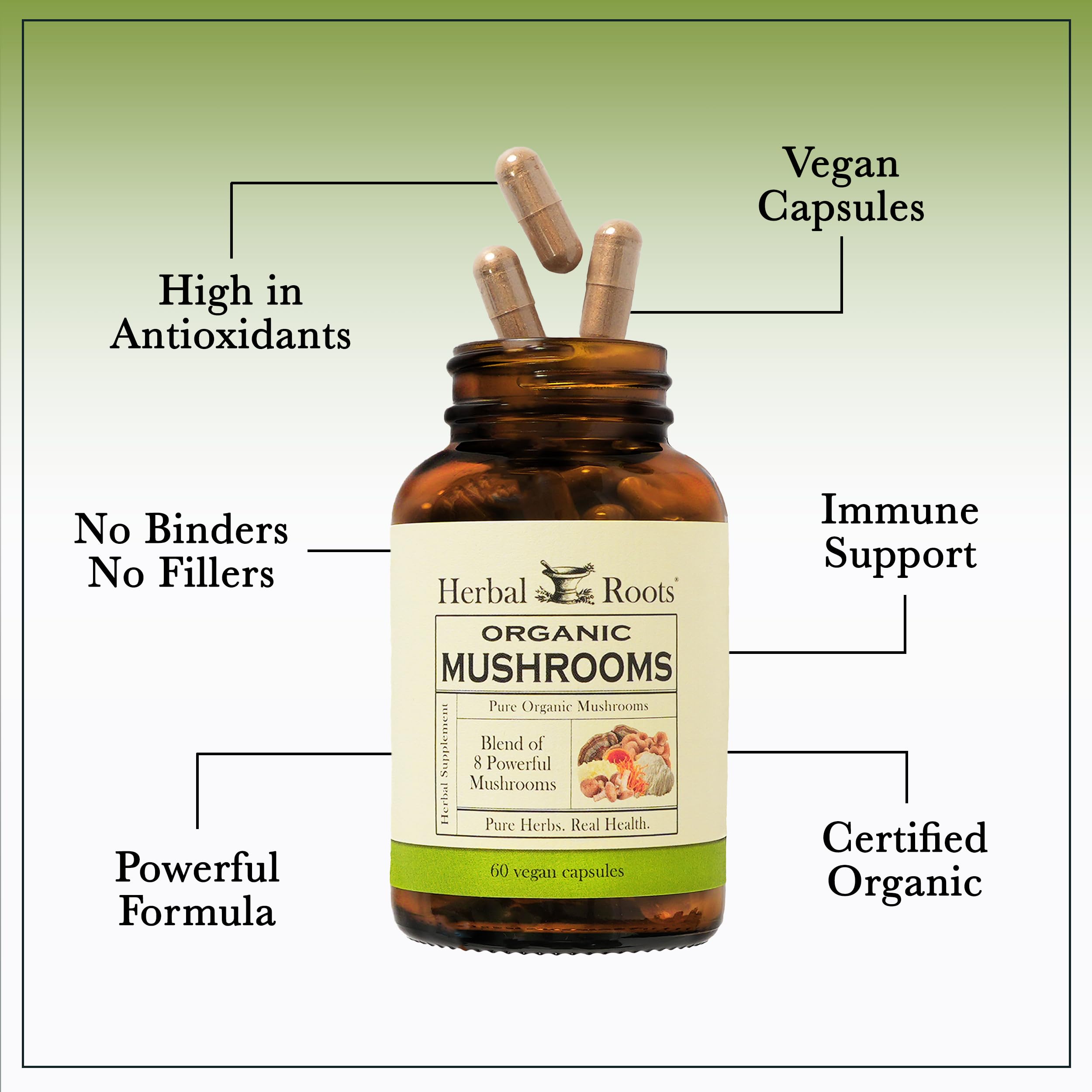 health benefits of organic mushrooms