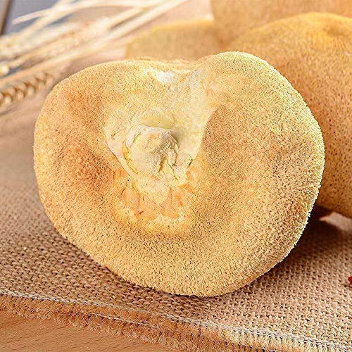 health benefits of organic mushrooms