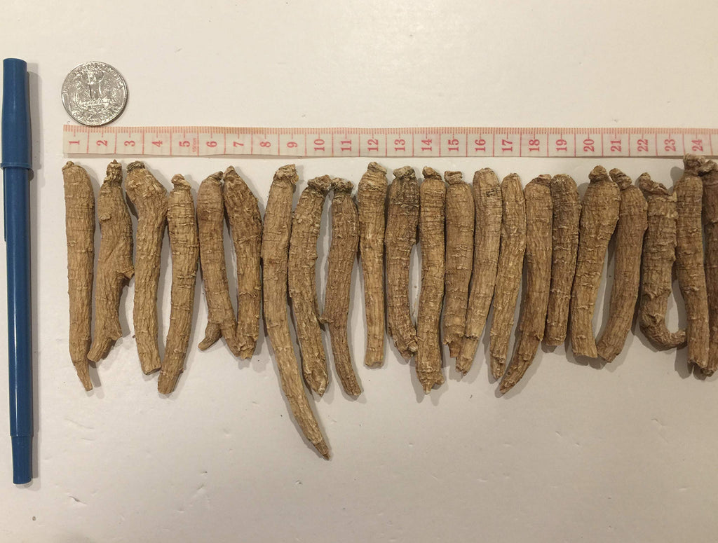 health benefits of panax ginseng