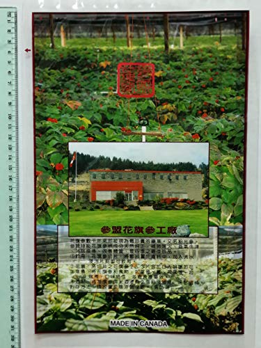 health benefits of panax ginseng
