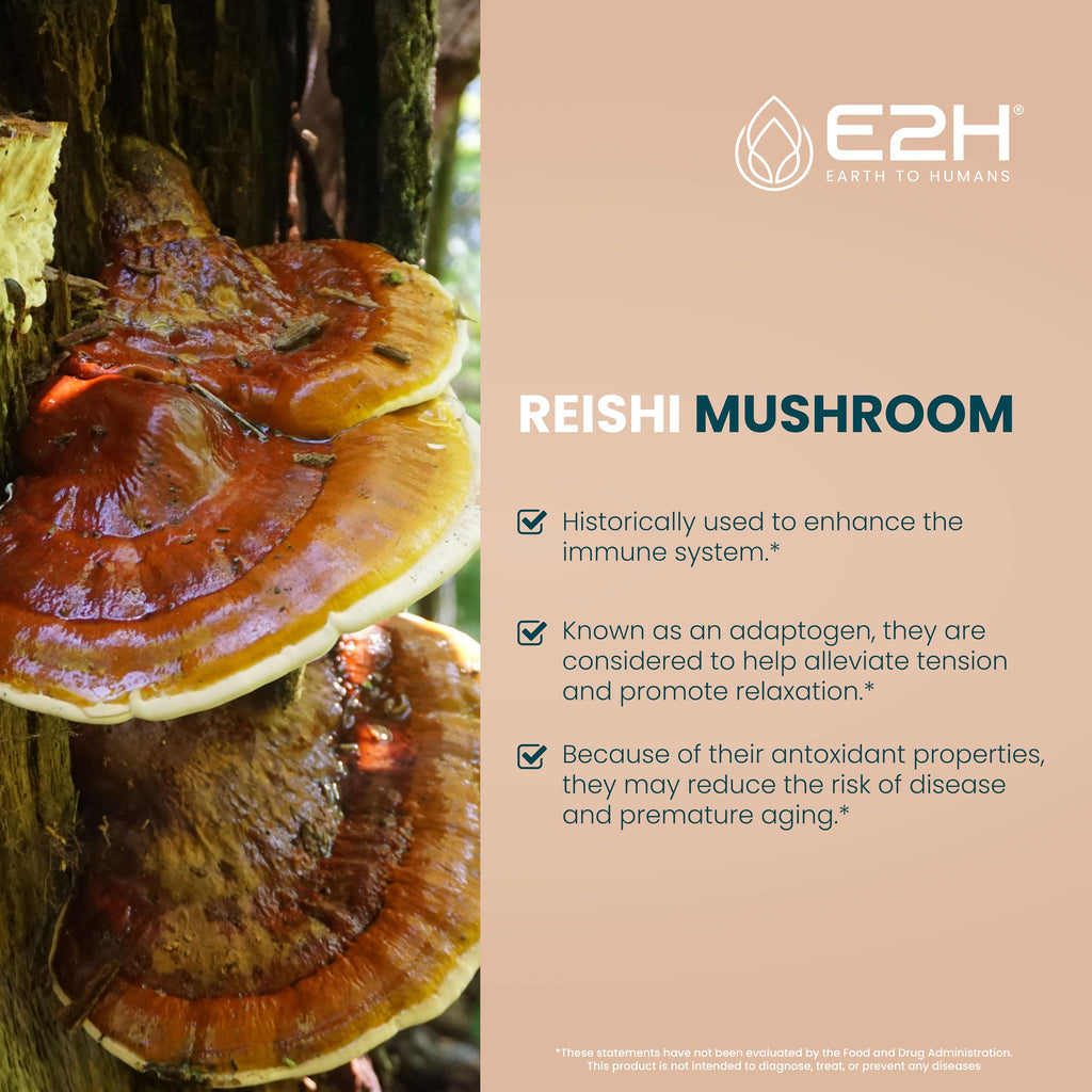Health benefits of Reishi mushroom extract