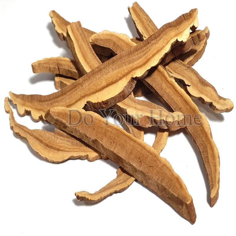 health benefits of reishi mushrooms