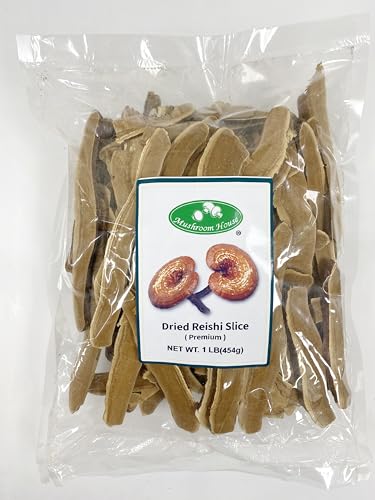 health benefits of reishi mushrooms