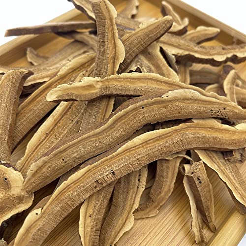 health benefits of reishi mushrooms