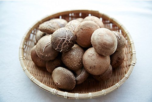 health benefits of shiitake mushrooms