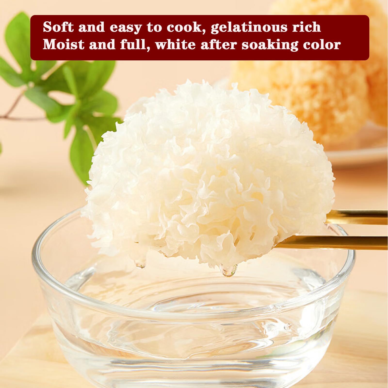 Health benefits of snow fungus mushrooms