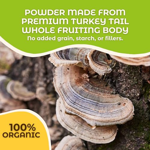 health benefits of turkey tail mushrooms