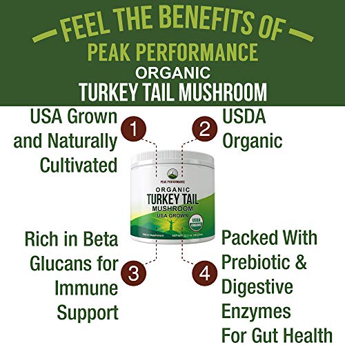 health benefits of turkey tail mushrooms