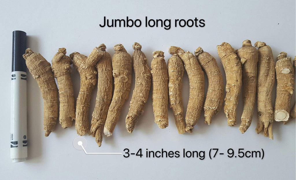 health benefits of Wisconsin ginseng