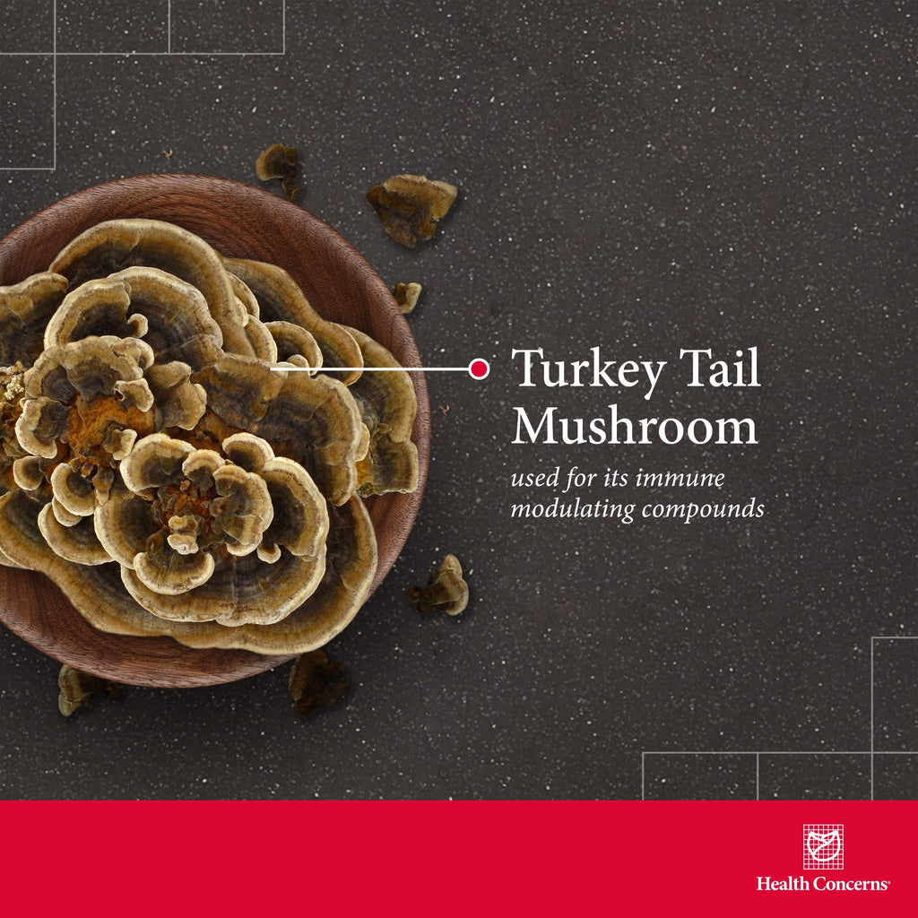 health concerns mushroom extract