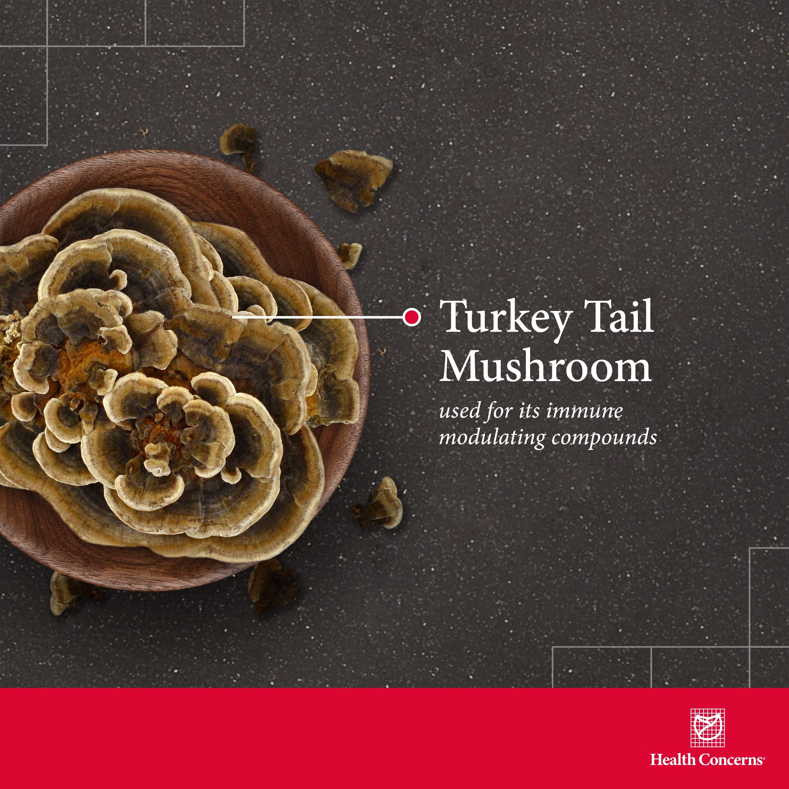health concerns mushroom extract
