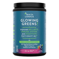 Health Logics superfood powder benefits