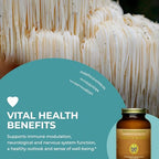 HealthForce Superfoods mushroom powder