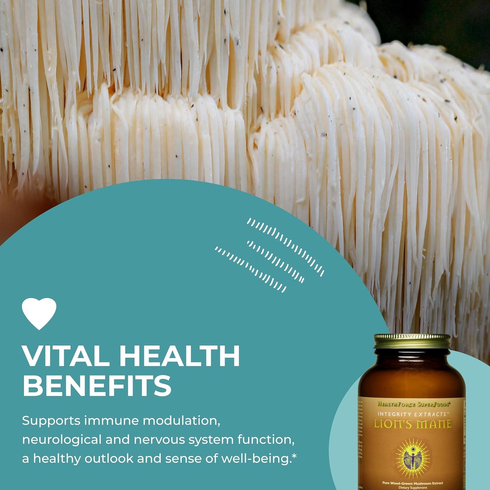 HEALTHFORCE SUPERFOODS mushroom supplement