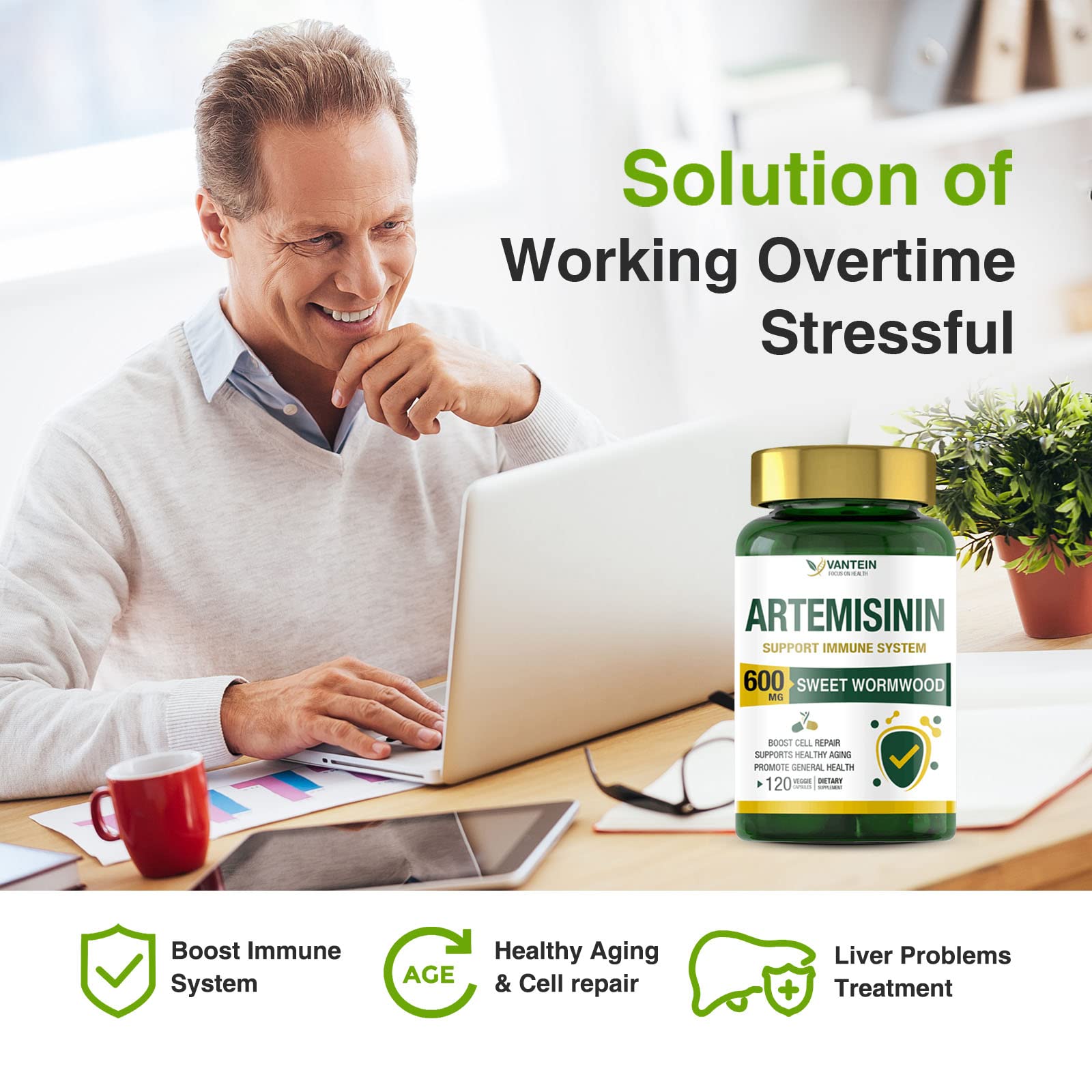 Healthy aging with blended supplements
