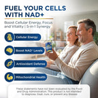 Healthy aging with NAD Resveratrol