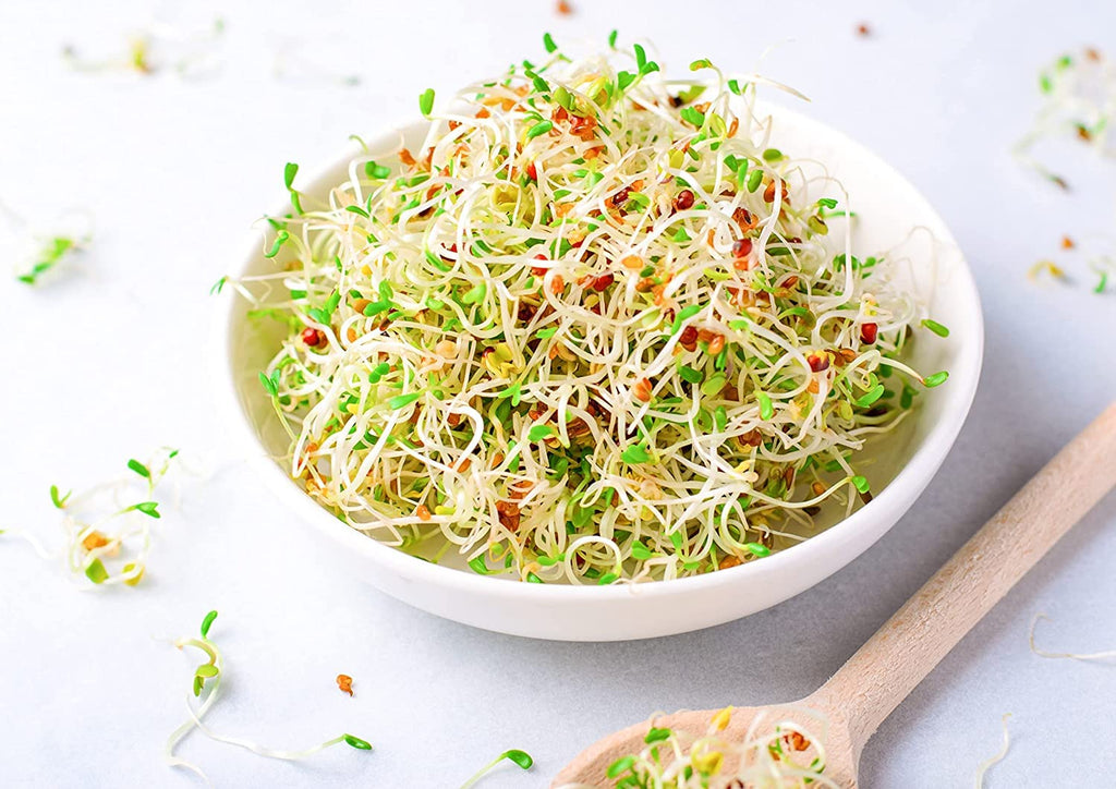 healthy alfalfa sprouts for smoothies