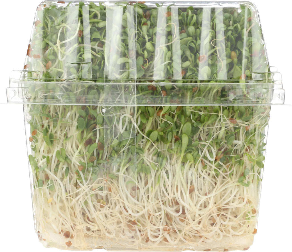 healthy alfalfa sprouts for weight loss