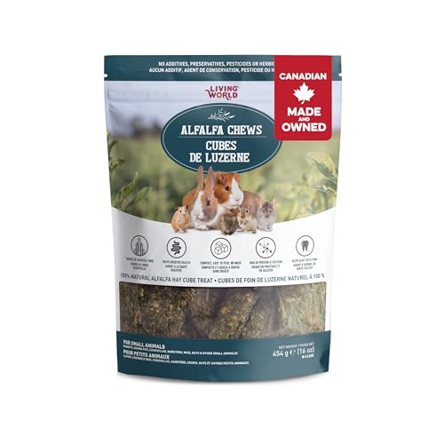 healthy alfalfa treats for small animals