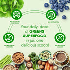 healthy berry powder for energy