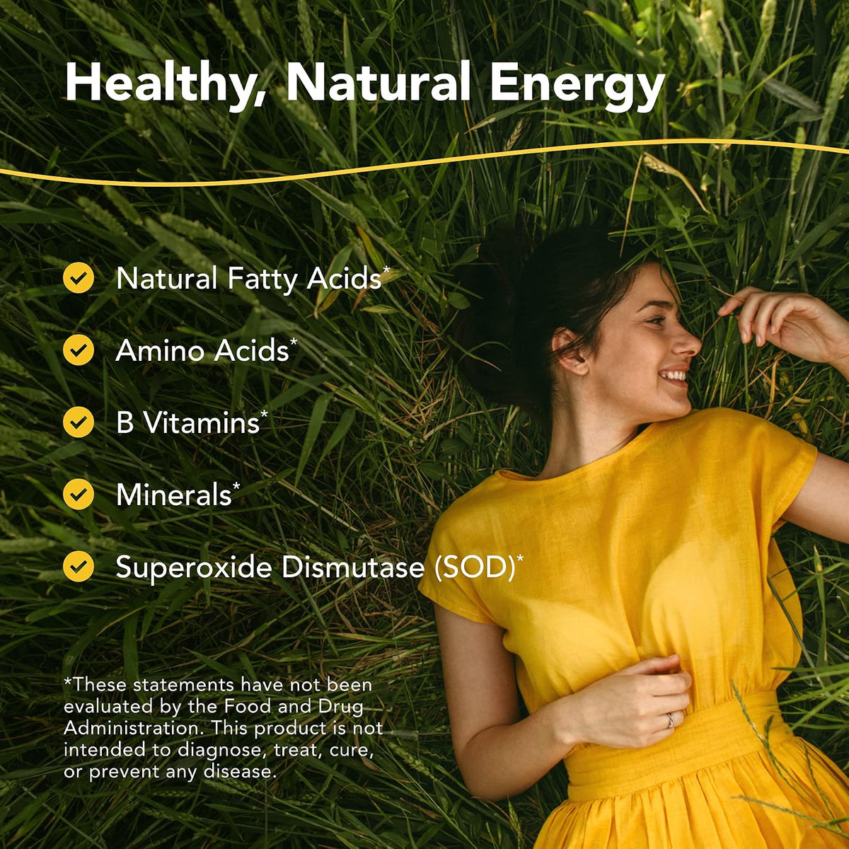 healthy Chaga mushroom treat
