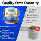 Healthy chews for dog wellness