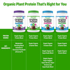 healthy chocolate protein for snacks