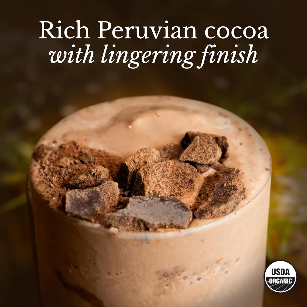 healthy chocolate protein powder alternative
