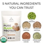 healthy chocolate protein shake