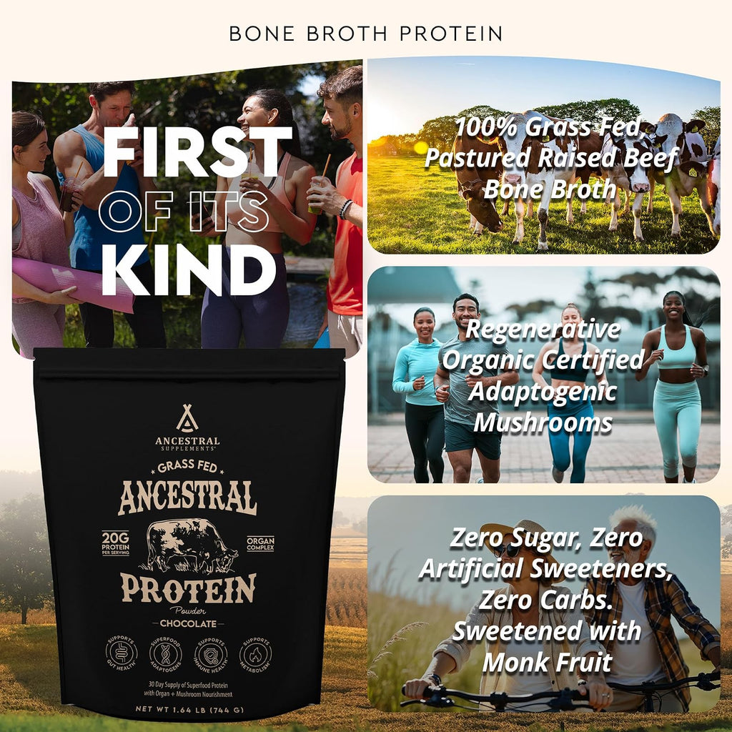 healthy chocolate protein supplement