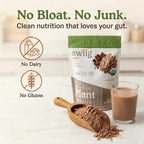 healthy chocolate protein supplement