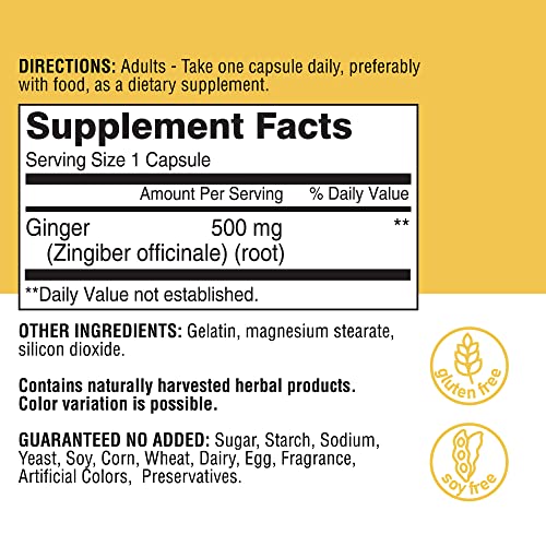 Healthy circulation with ginger extract