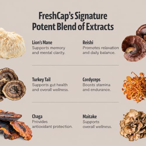 healthy coffee alternative mushrooms