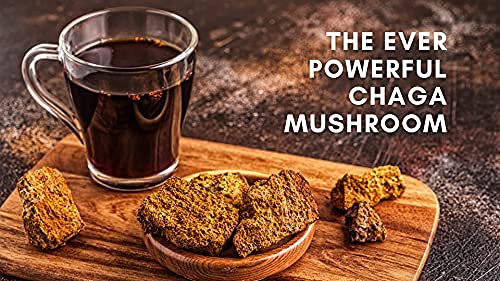 Healthy coffee alternative with mushrooms