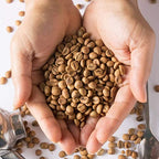healthy detox coffee for daily use