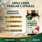 Healthy digestion with apple cider vinegar
