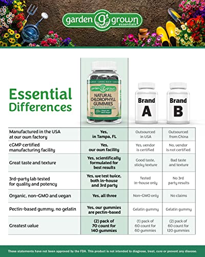 healthy digestion with chlorophyll gummies