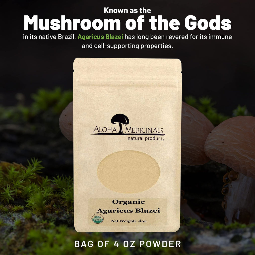 Healthy digestion with mushroom powder