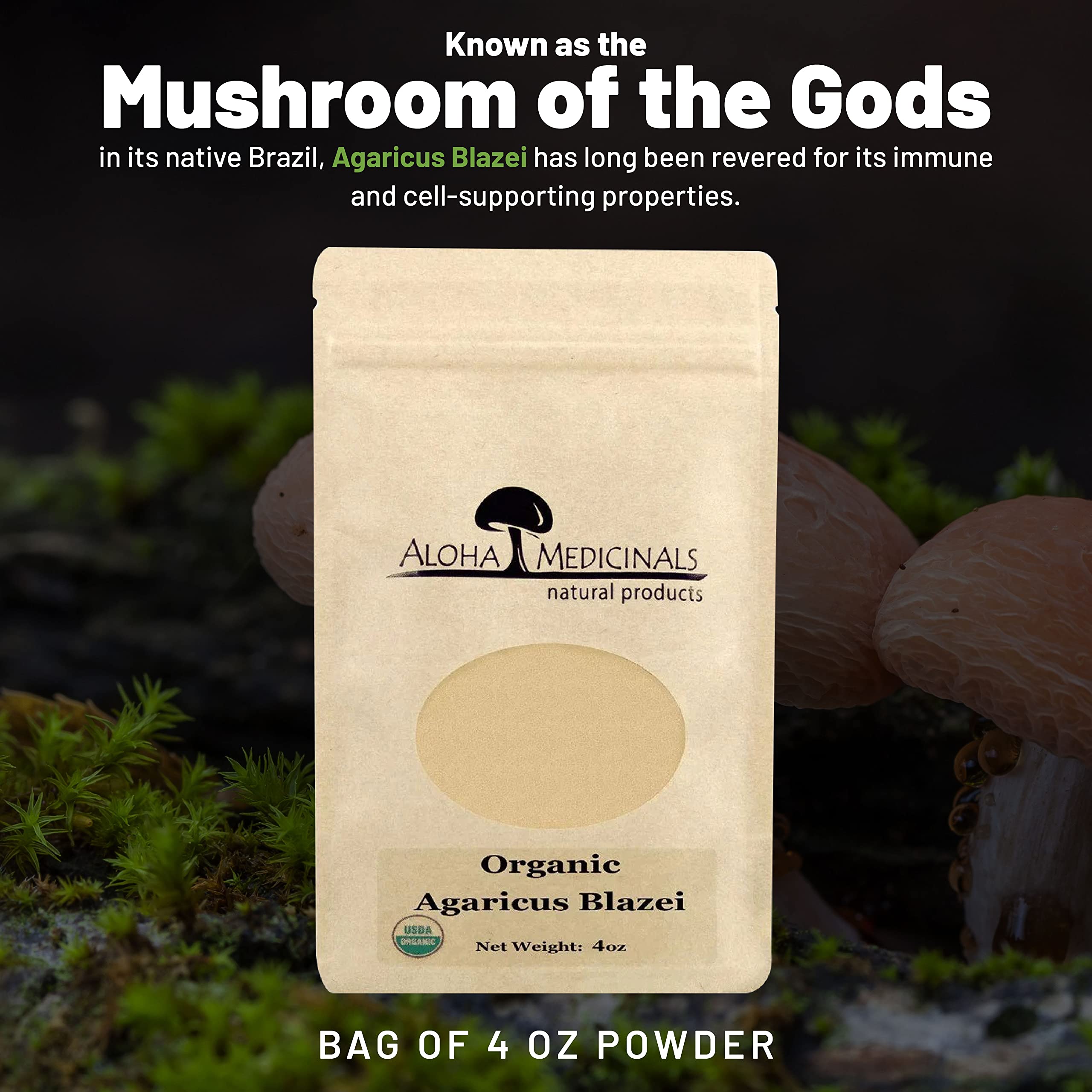Healthy digestion with mushroom powder