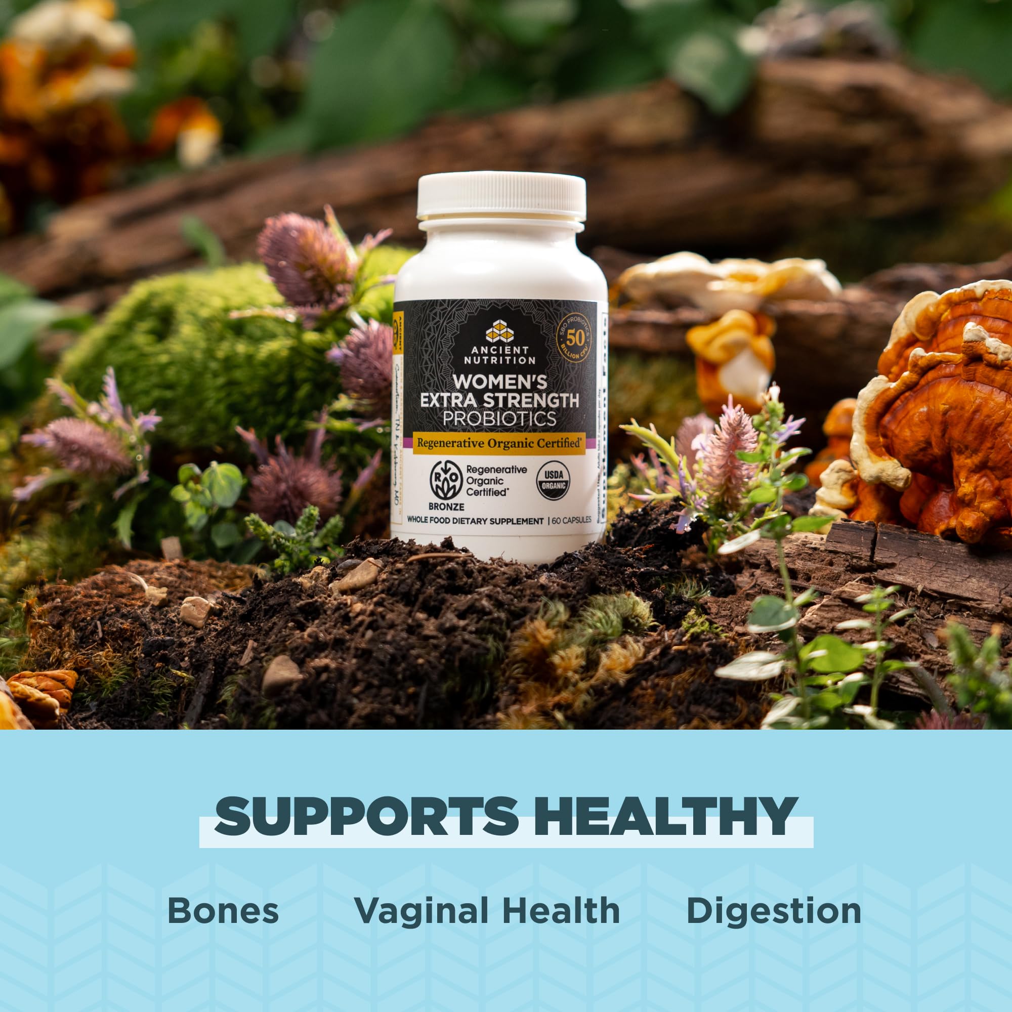 healthy digestion with probiotics
