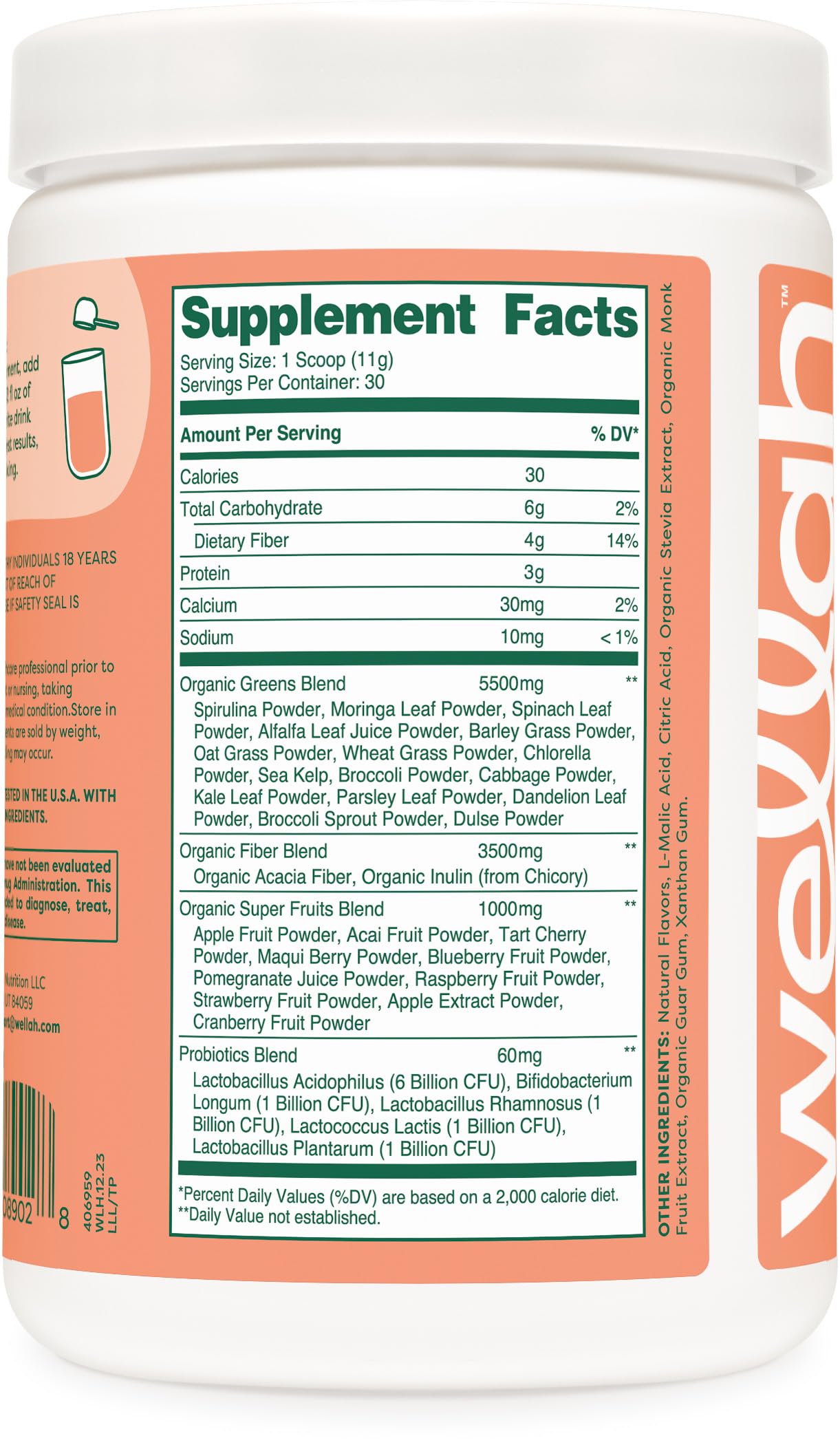 healthy drink mix for busy lifestyles