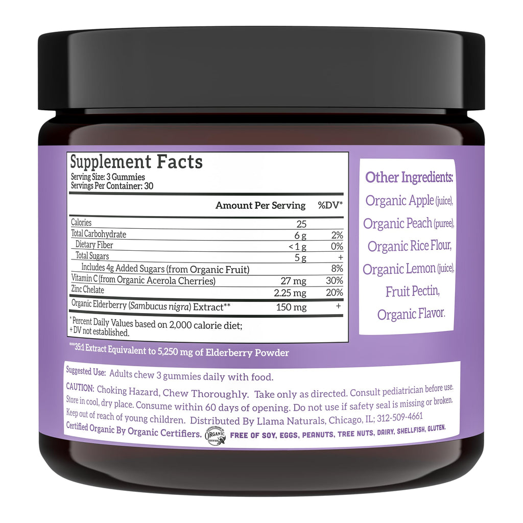 healthy elderberry gummies for immune health