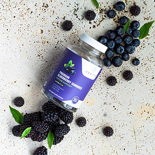 healthy elderberry gummy snacks